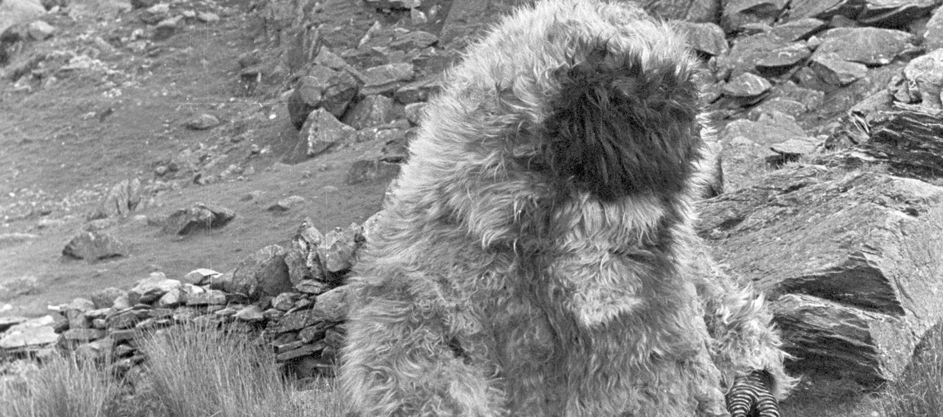 Coming soon, the Second Doctor and TARDIS action figures | Doctor Who